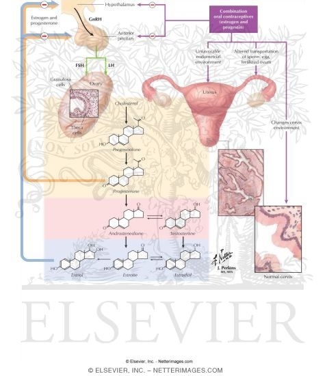 Combination Oral Contraceptives