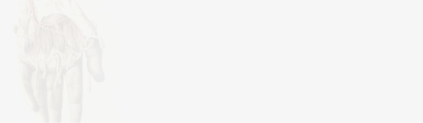 Welcome To Netter Images