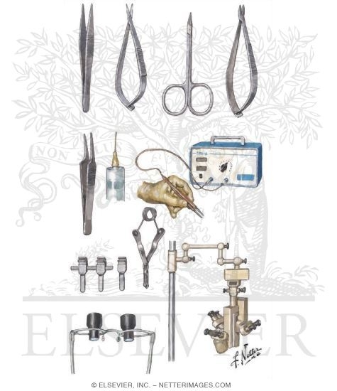Microsurgical Instrumentation for Replantation