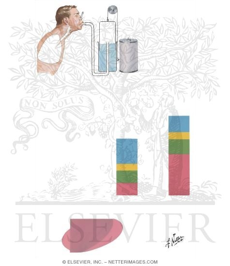 Pulmonary Function in Obstructive Disease