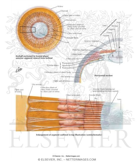Lens and Supporting Structures