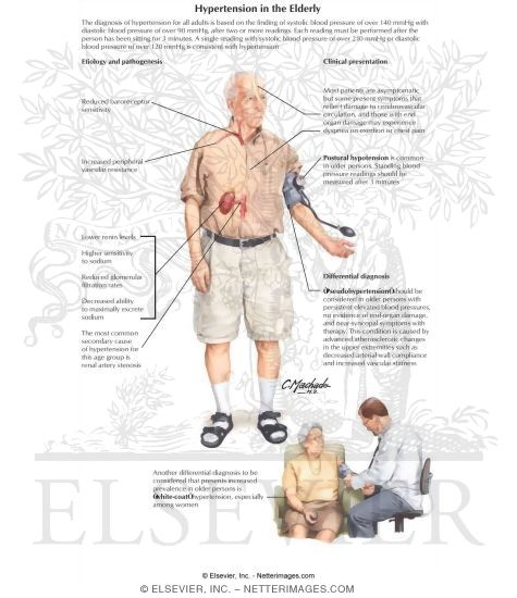 Hypertension in the Elderly