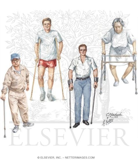 Canes, Crutches, and Walkers