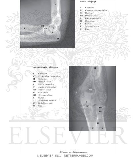 Elbow: Radiographs