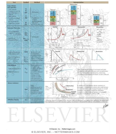 Tests of Pulmonary Function