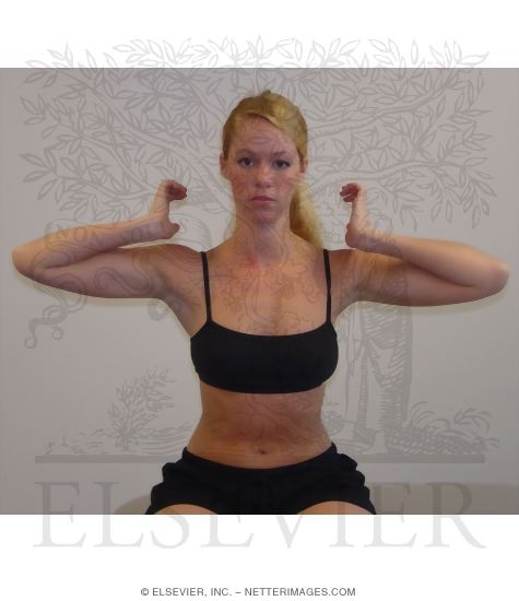 shoulder flexion degrees