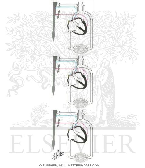 Heart Failure Treatment: β-adrenergic Stimulators and Blockers