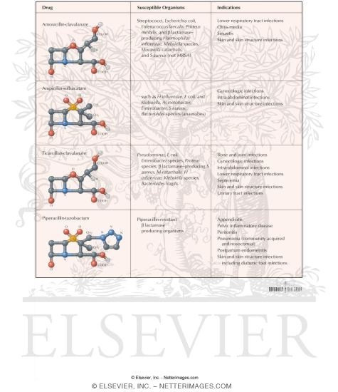 Beta-Lactamase Inhibitors