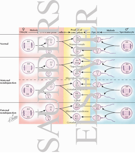 Errors In Chromosomal Sex 