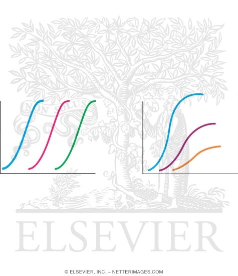 Antagonists: Surmountable (Reversible) and Nonsurmountable (Irreversible)