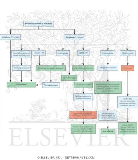 Treatment Algorithm for Hoarseness