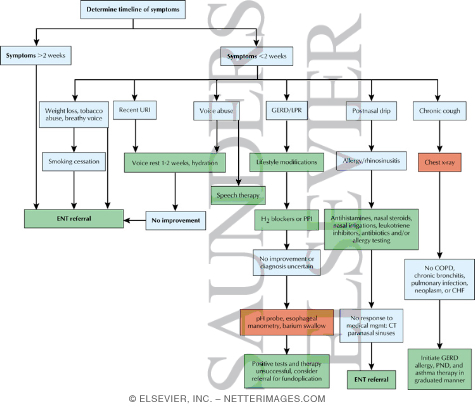 Treatment Algorithm for Hoarseness