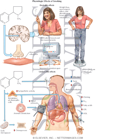 Physiologic Effects of Smoking