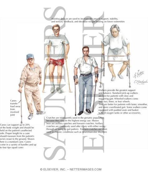 Canes, Crutches, and Walkers