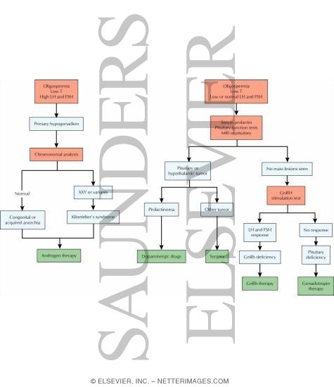 Approach to the Differential Diagnosis of Primary and Secondary ...