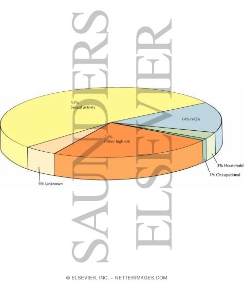Acute Hepatitis B: Risk Factors 1991-1996