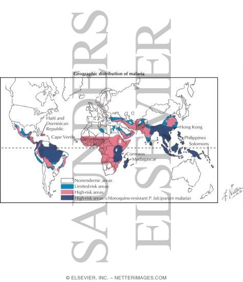 Geographic Distribution of Malaria