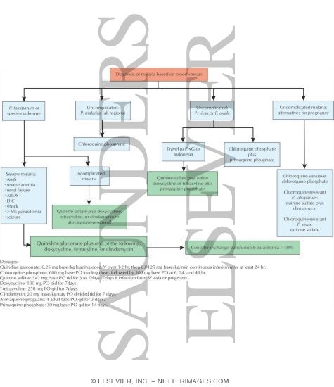 Algorithm of Current Centers for Disease Control and Prevention ...