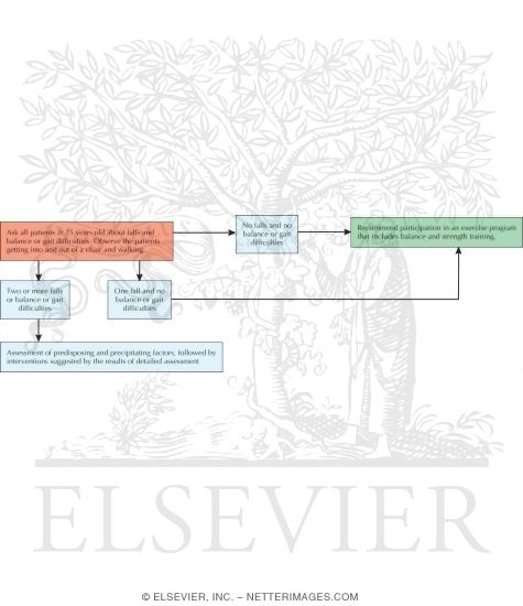 Clinical Approach To The Prevention Of Falls