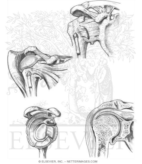 joint coloring pages