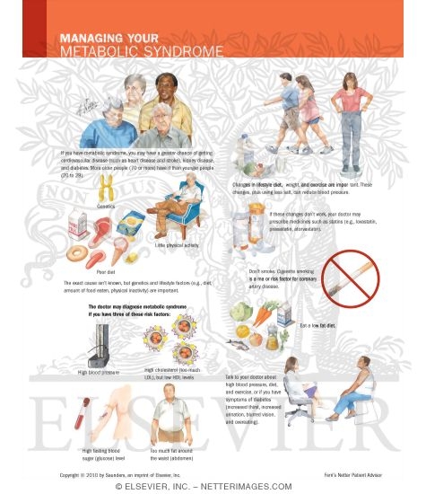 Managing Your Metabolic Syndrome