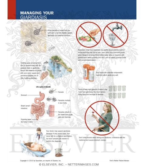 Managing Your Giardiasis
