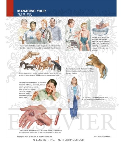 Managing Your Rabies