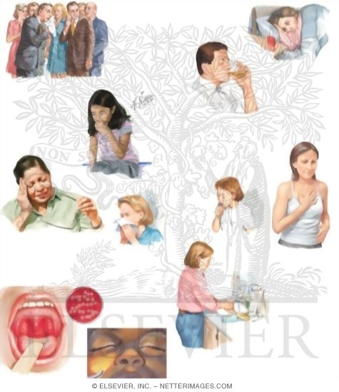 Managing Your Common Cold