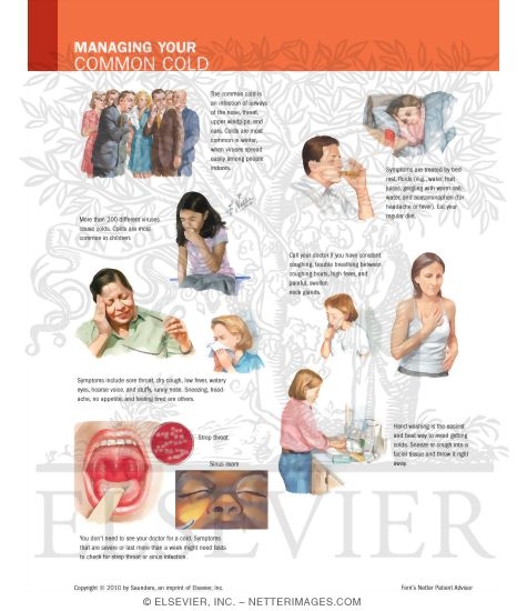 Managing Your Common Cold