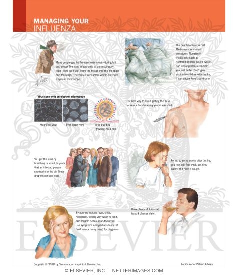 Managing Your Influenza