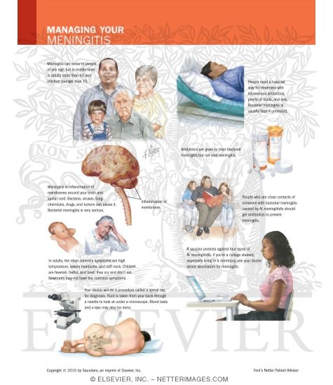 Managing Your Meningitis