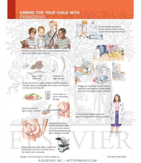 Caring for Your Child with Pinworms