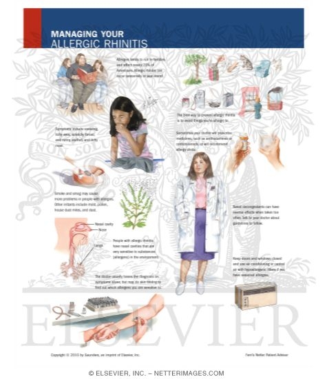 allergic rhinitis poster