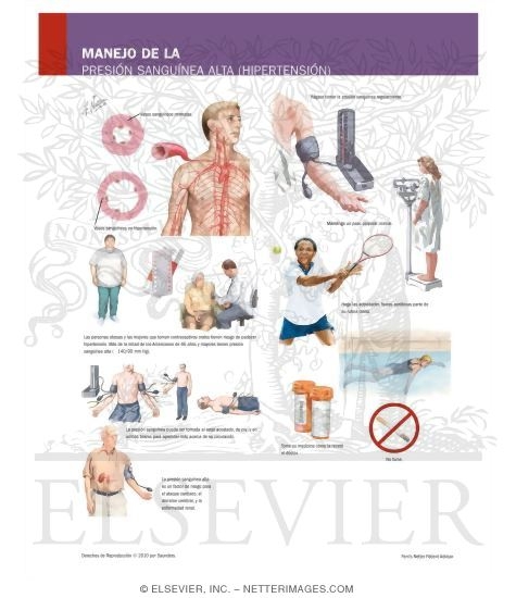 Managing Your High Blood Pressure (Hypertension)