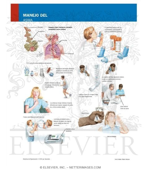 Managing Your Asthma