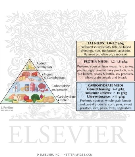 Daily Macronutrient Recommendations for Athletes