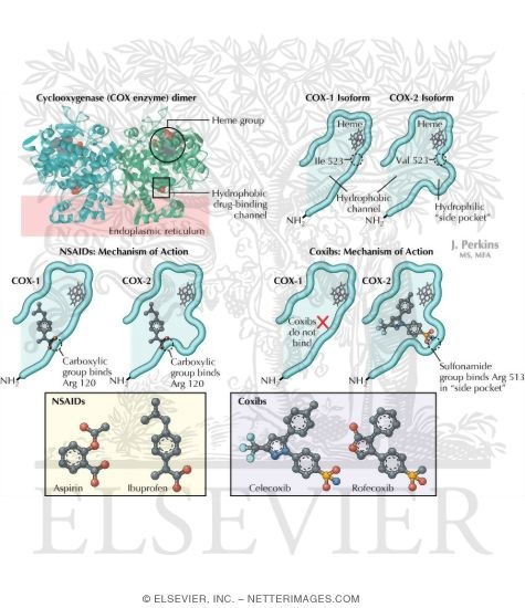 Nonopioids: NSAIDs, Selective Cyclooxygenase-2 Inhibitors, and ...