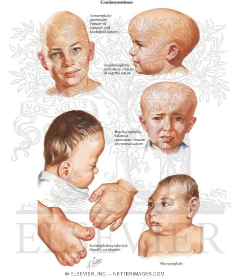 Action of Drugs on Nerve Excitability