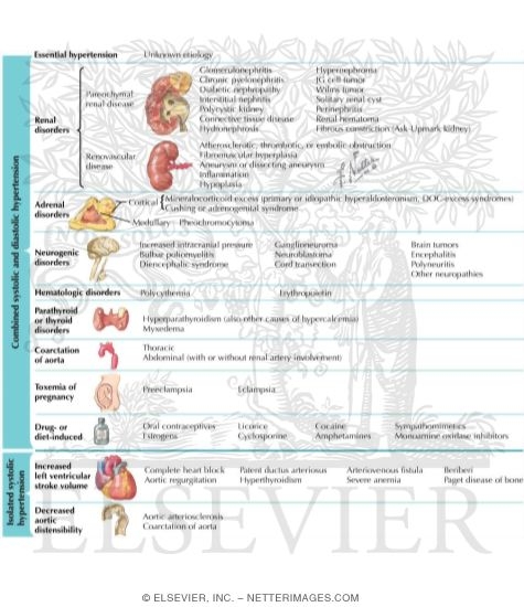 Causes of Hypertension