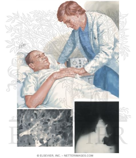 The Patient Postoperatively