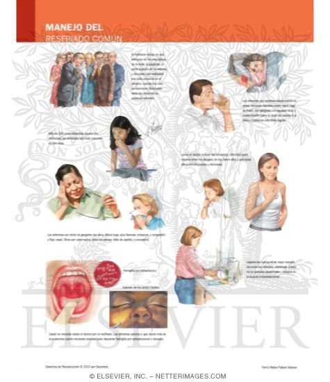 Managing Your Common Cold