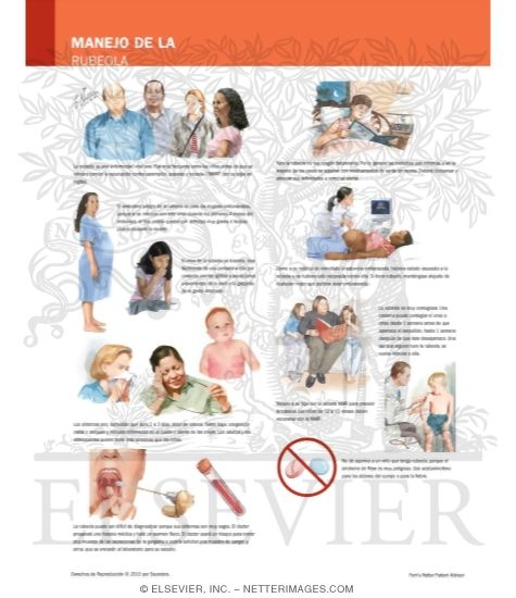 Managing Your Rubella