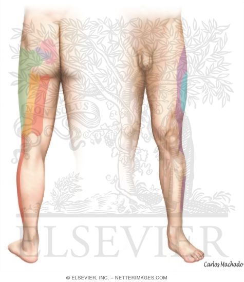 referral pattern si joint