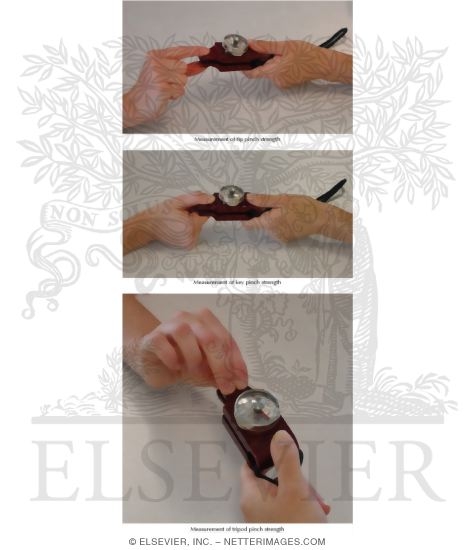 Measurement of Pinch Strength