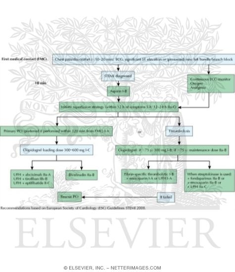 Optimum Treatment of ST-elevation Myocardial Infarction (STEMI)