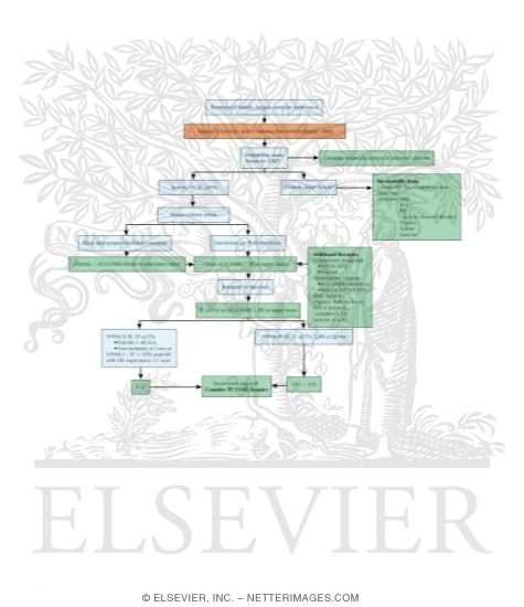 Algorithm for Management of Heart Failure