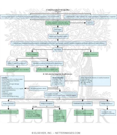 Ventricular Assist Device Selection Algorithm
