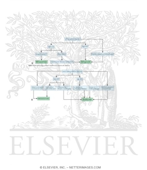 Algorithm for Prosthesis Selection In Valvular Heart Disease