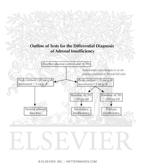 Outline of Tests for the Differential Diagnosis of Adrenal Insufficiency