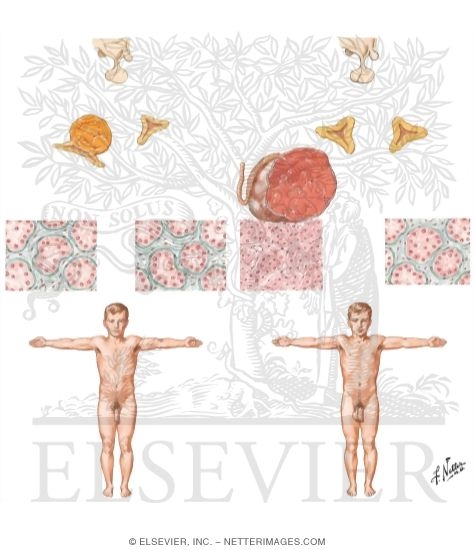 precocious puberty mumsnet